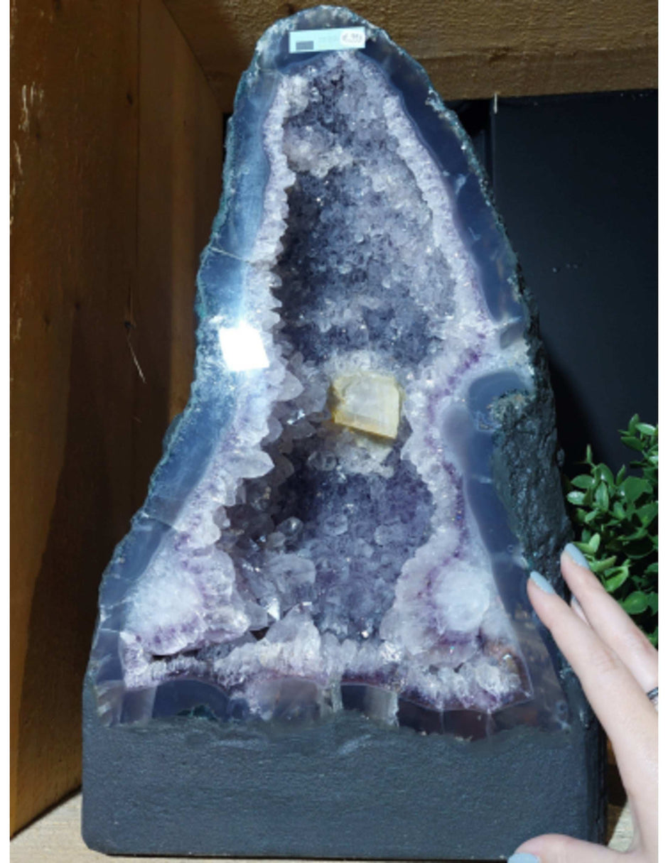 Amethist Geode kopen? Ontdek unieke kristallen bij Amethista.nl